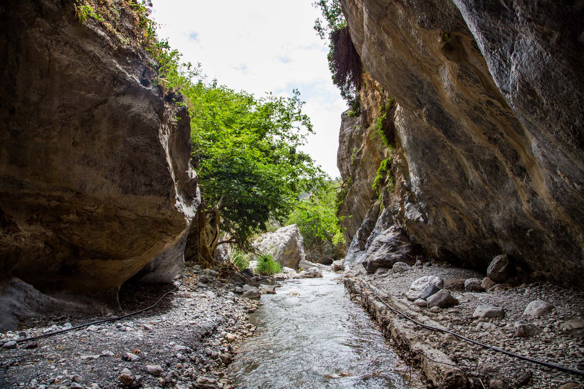 Unknown Crete – Sarakina Gorge - Pink Flamingo